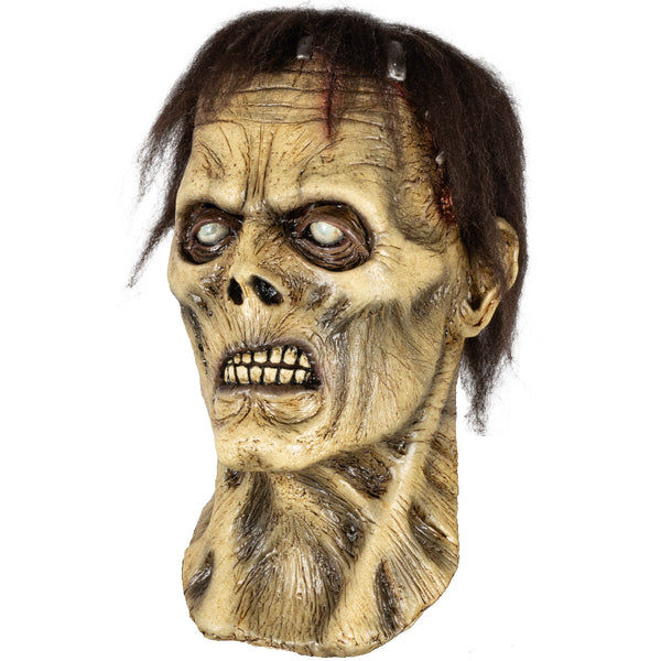 Frankenstein Mask - Lord Frank - Halloween Costume Mask - Horror Movie ...
